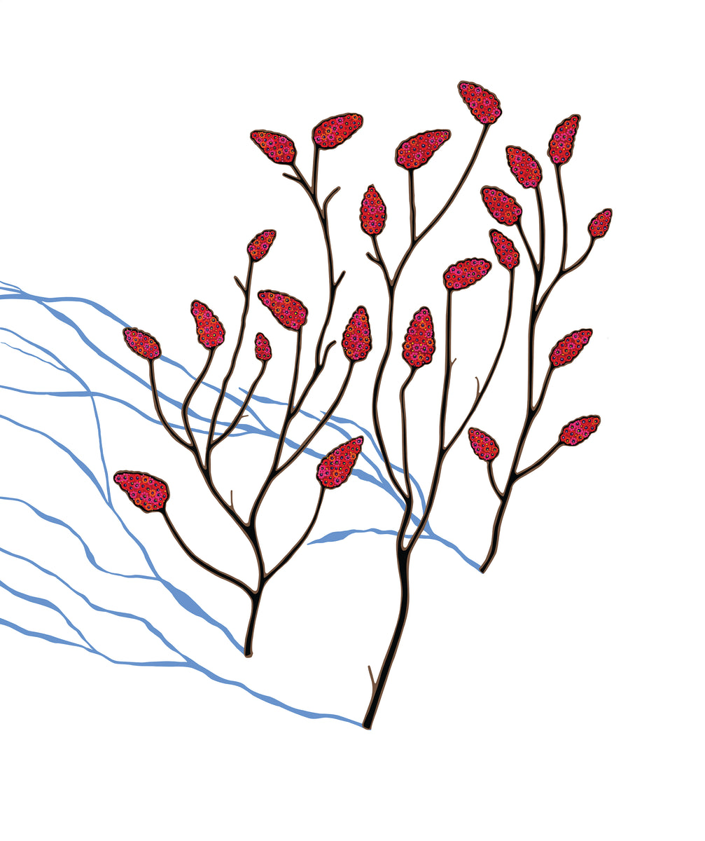 Highway 17 Sumac #2 – Christi Belcourt Art